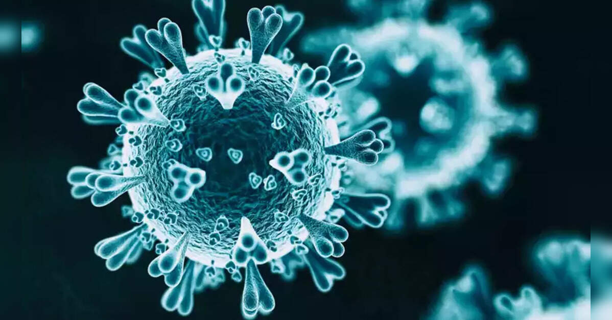 Showing different types of COVID-19 data influences pandemic behaviour ...