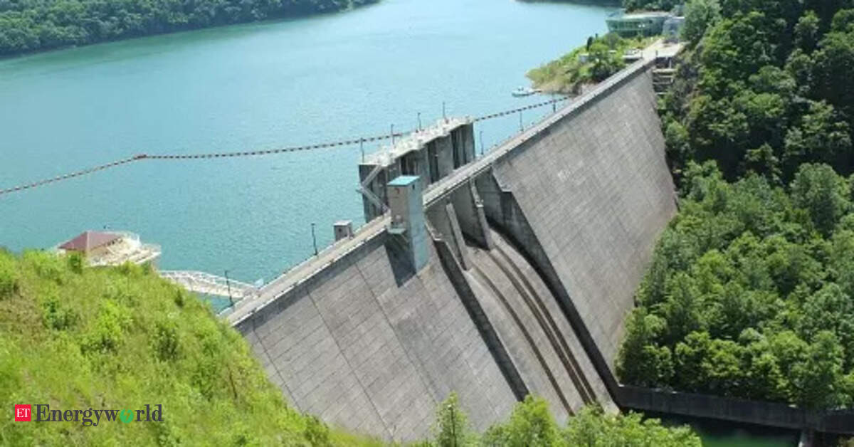 Greenko: Adani, Greenko partner to utilise 6 GW of pumped hydro storage ...