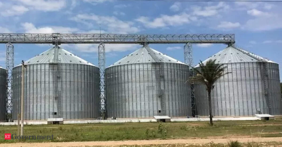 Centre plans to modernize food-grain storage infrastructure, to develop ...