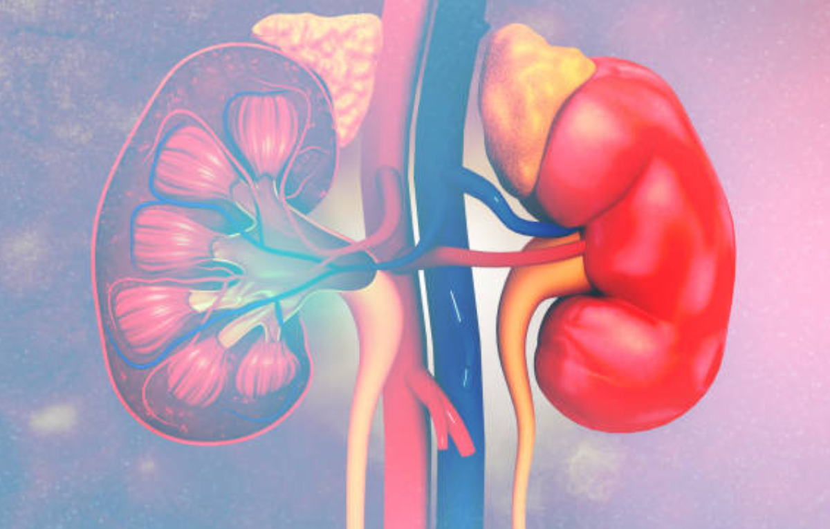 Can A Poor Diet Lead To Critical Health Issues In Patients With Chronic