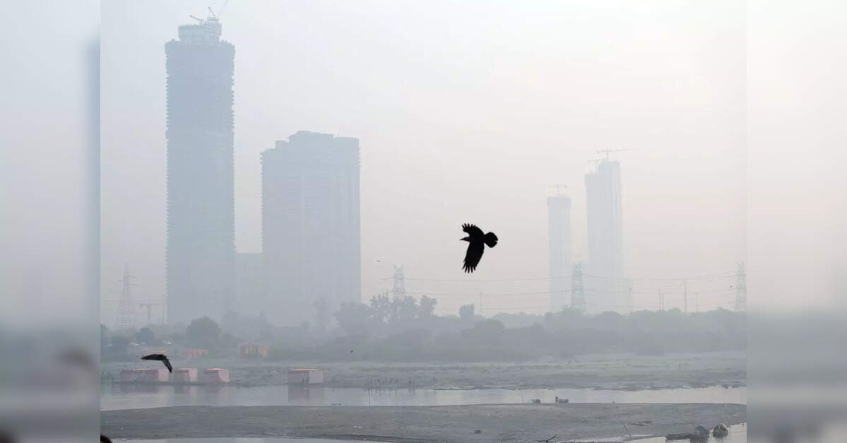 CAQM holds review meeting on status of GRAP Stage III implementation in ...