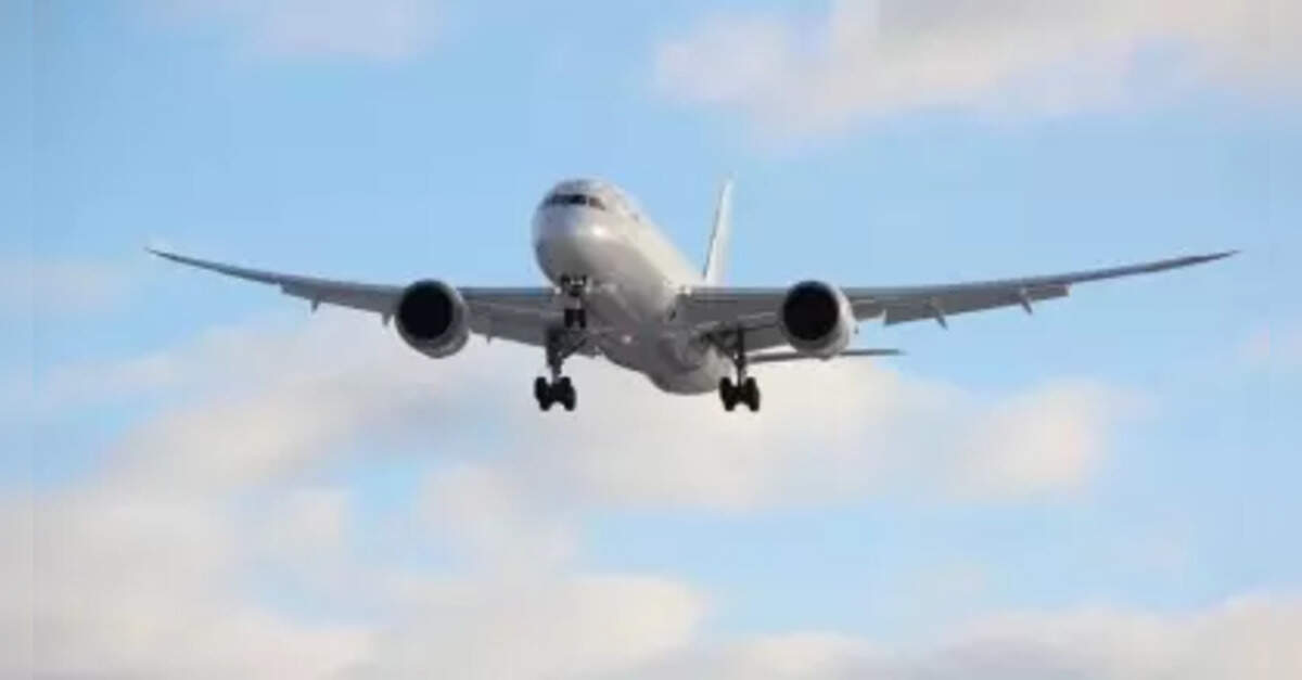 AAI eases licensing norms for setting up commercial facilities at its ...