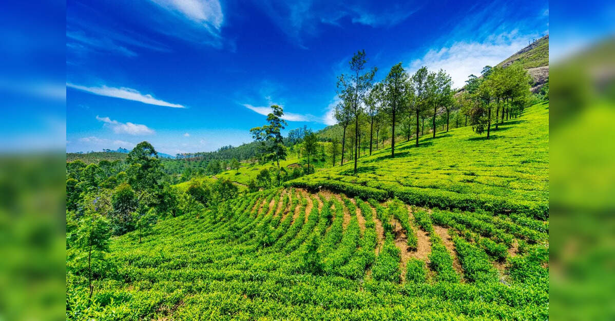 Tourism Industry: Visit South India to explore its diverse landscapes ...