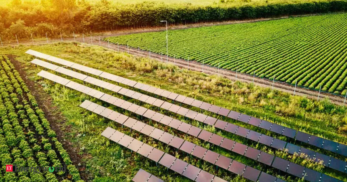 Solar Power: KEC International wins large order for 500 MW solar PV ...