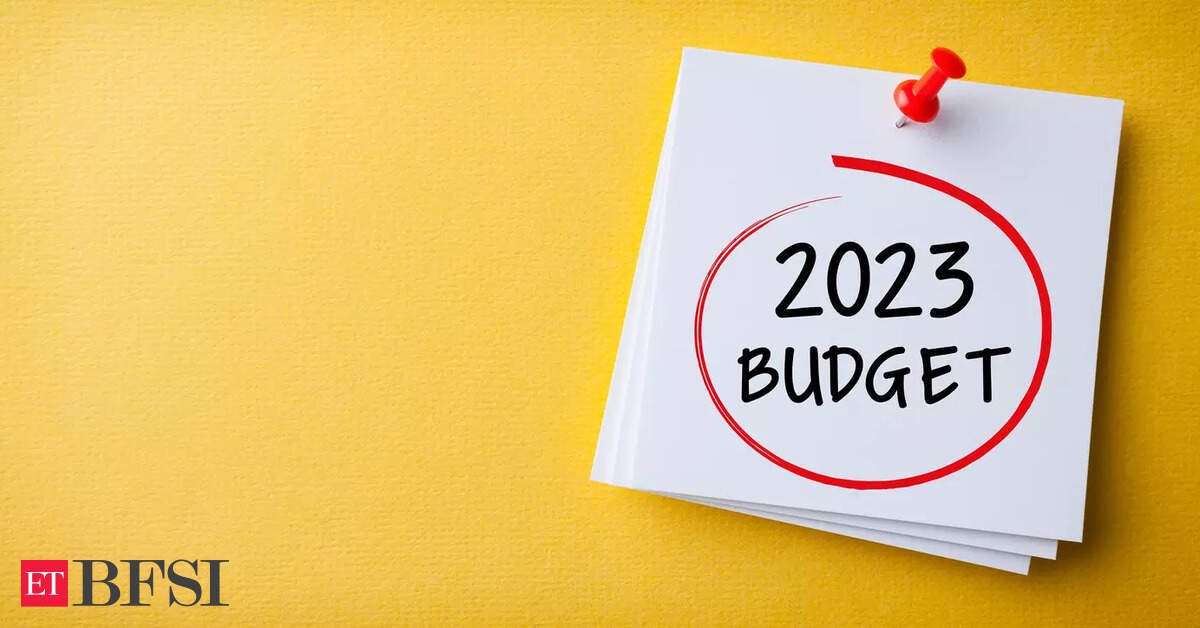 Budget points at long-term economic growth target through capex; SOPs ...