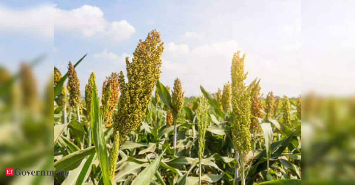 International Year Of Millets 2023: APEDA organizes virtual buyer ...