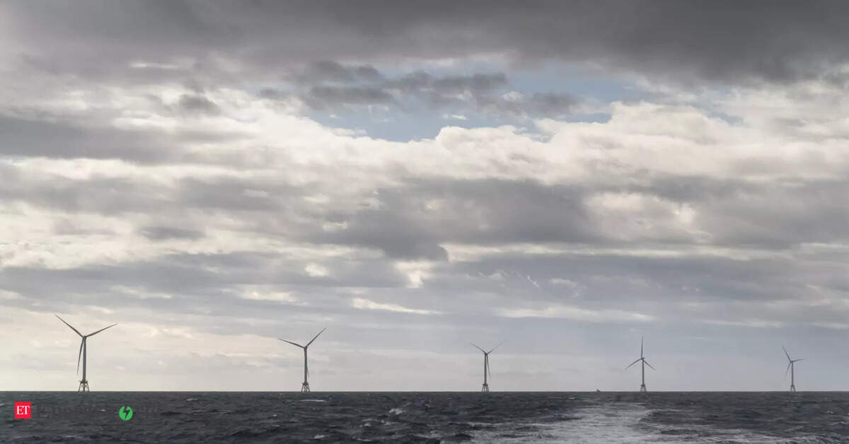US proposes first offshore wind auction in Gulf of Mexico, Energy News ...